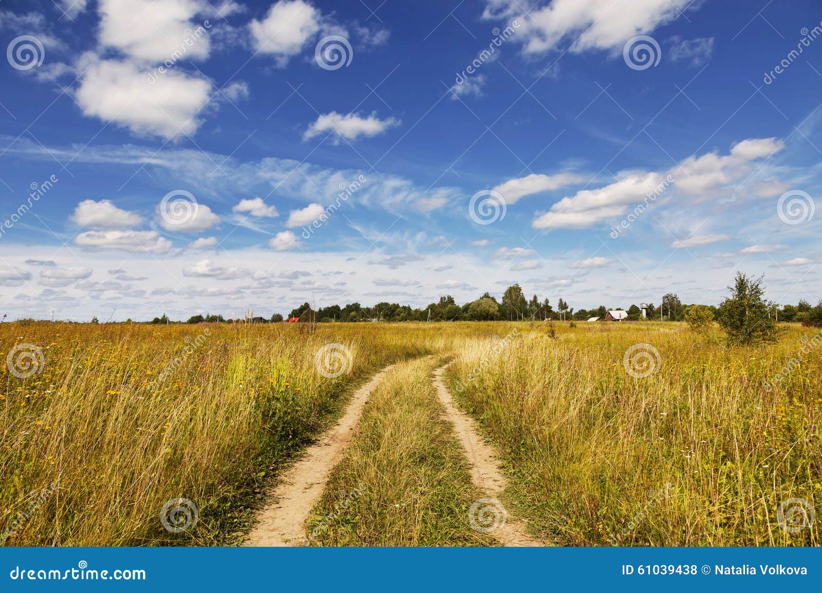 Country Road through the Fields Summer Day Stock Photo - Image of ...