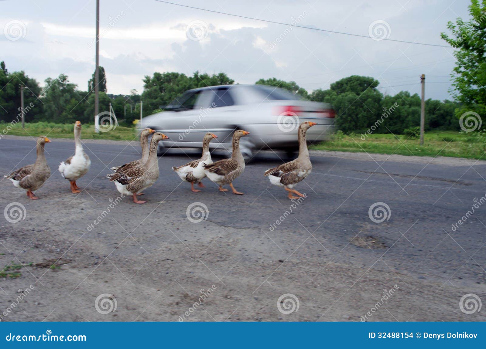 Country road stock photo. Image of open, birding, country - 32488154