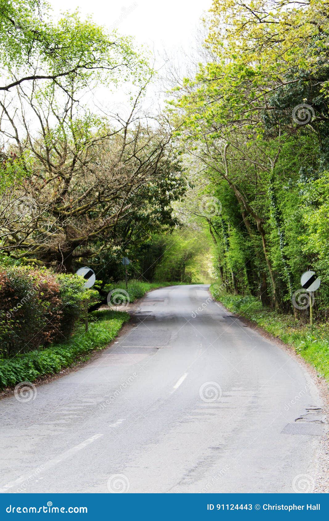 Country Road Going through Woods and Trees Stock Image - Image of ...