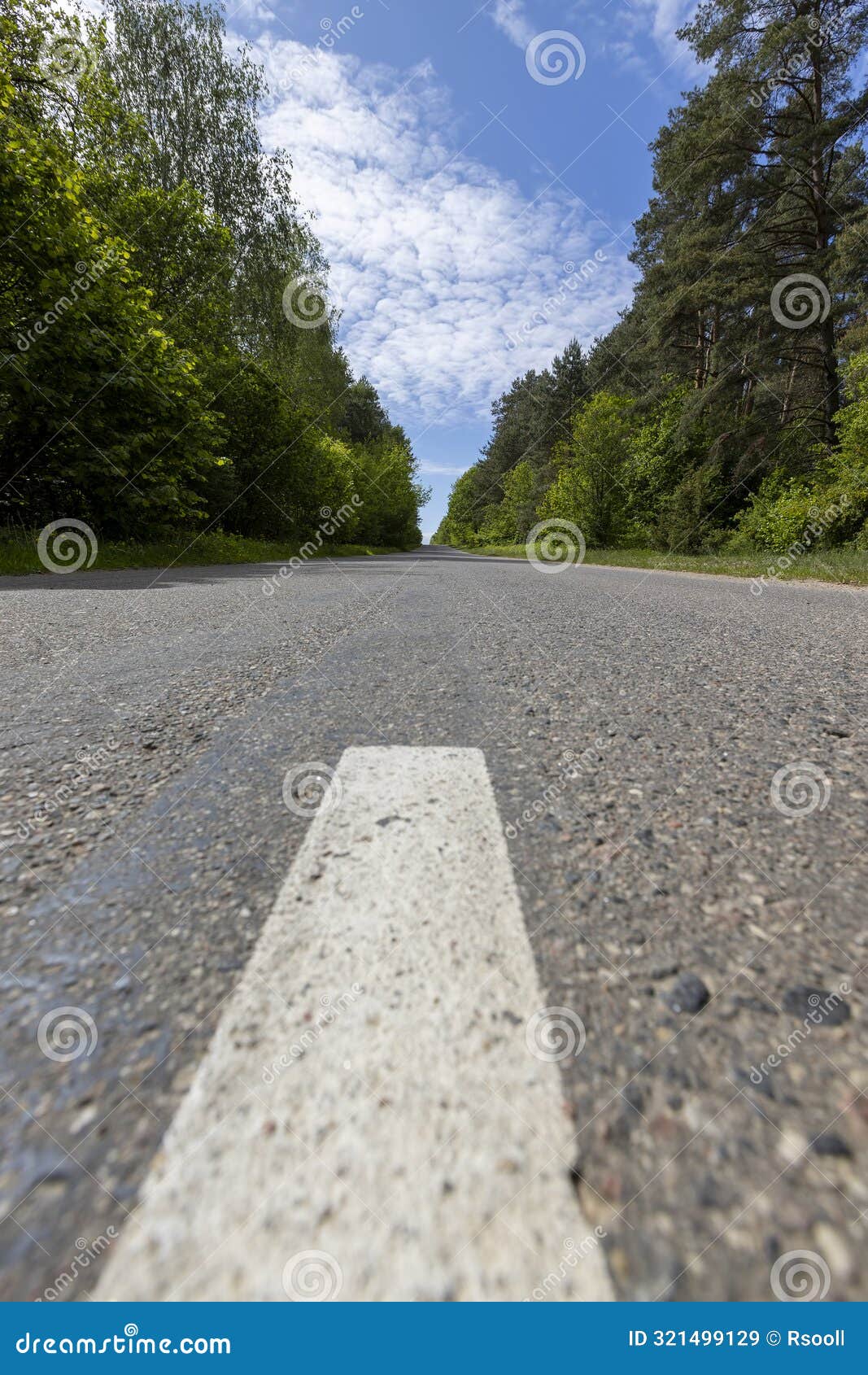 A Country Road of Good Quality in Spring in a Deciduous Forest Stock ...