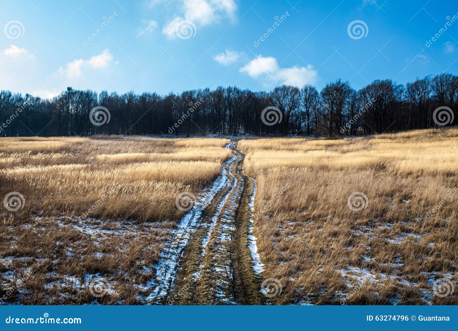 Country road stock photo. Image of background, spring - 63274796