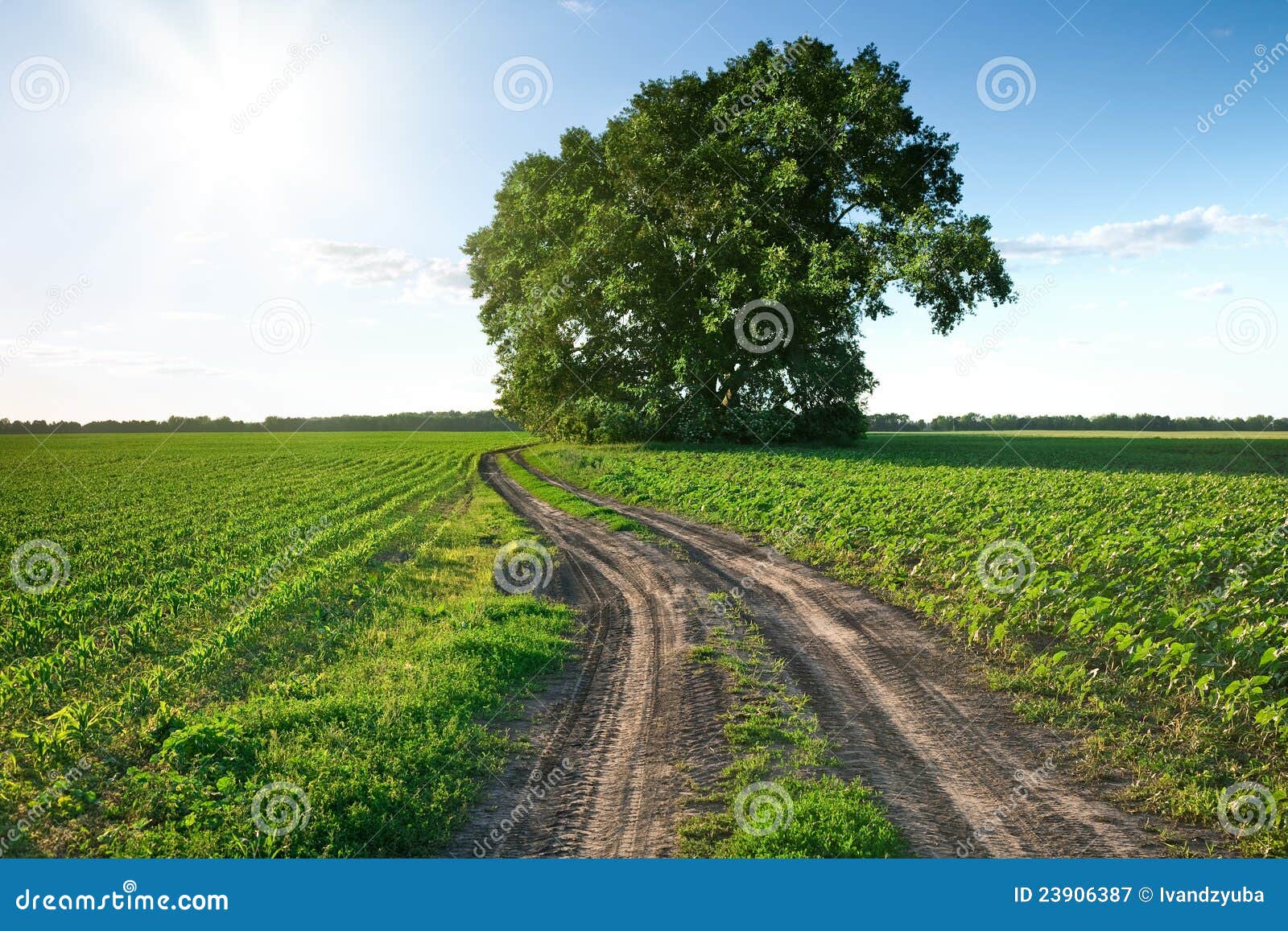 Country Road through Green Fields Stock Image - Image of nature, color ...
