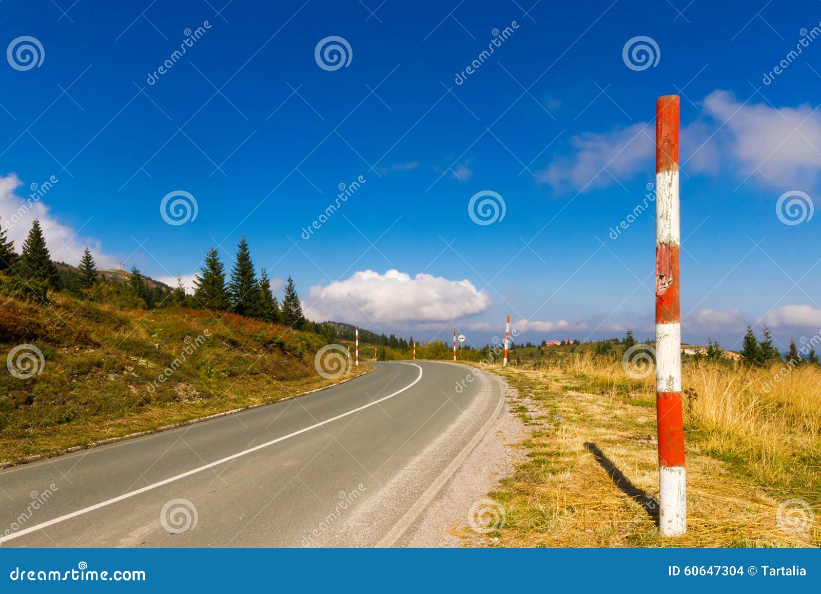 Country Road with a Guide-posts. Stock Photo - Image of scene, green ...