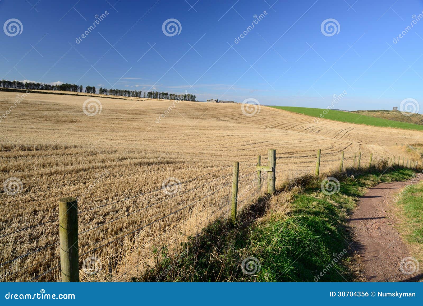 Country Road beside of Hay and Meadow. Stock Photo - Image of land ...