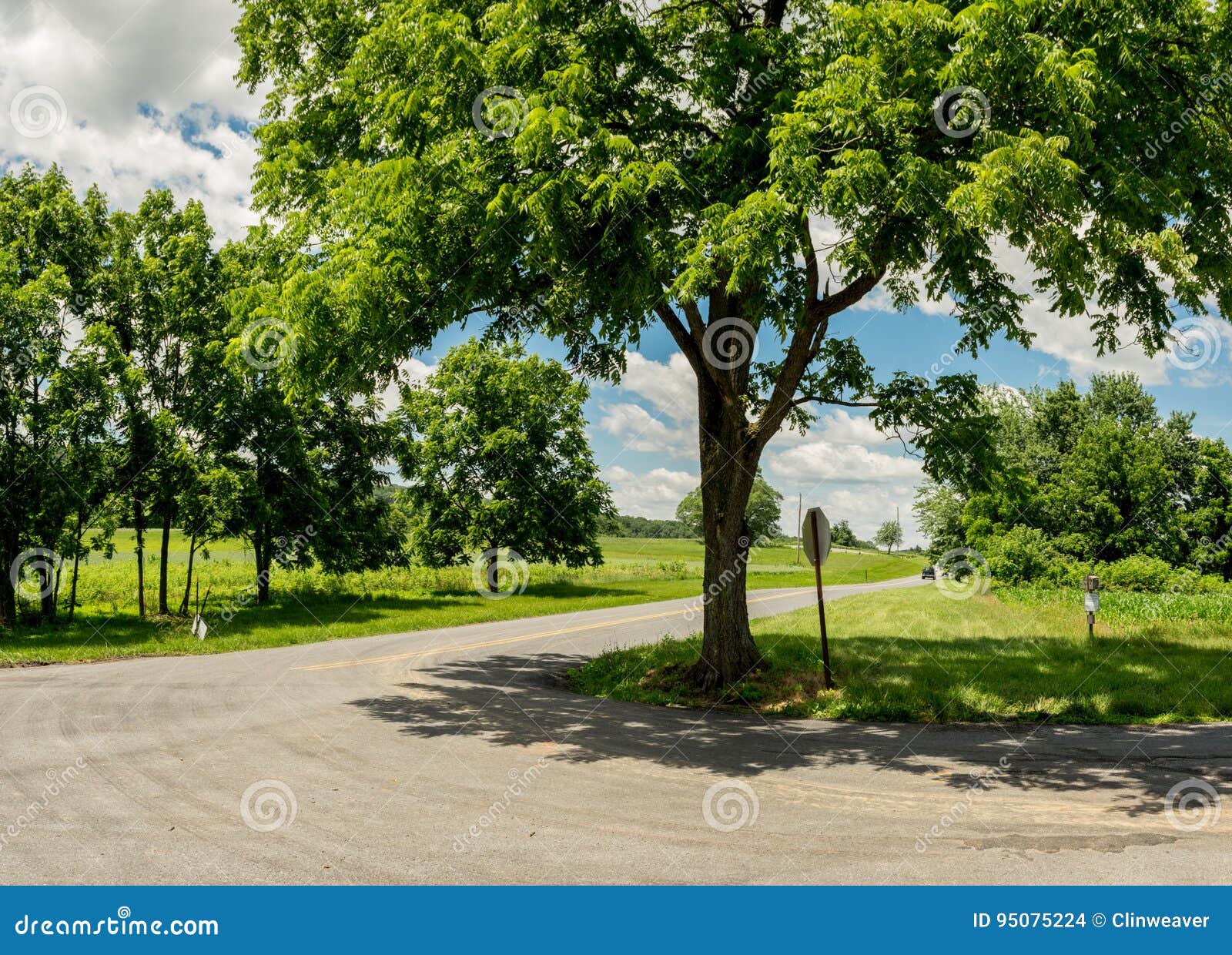 Country Road Intersection stock photo. Image of nature - 95075224