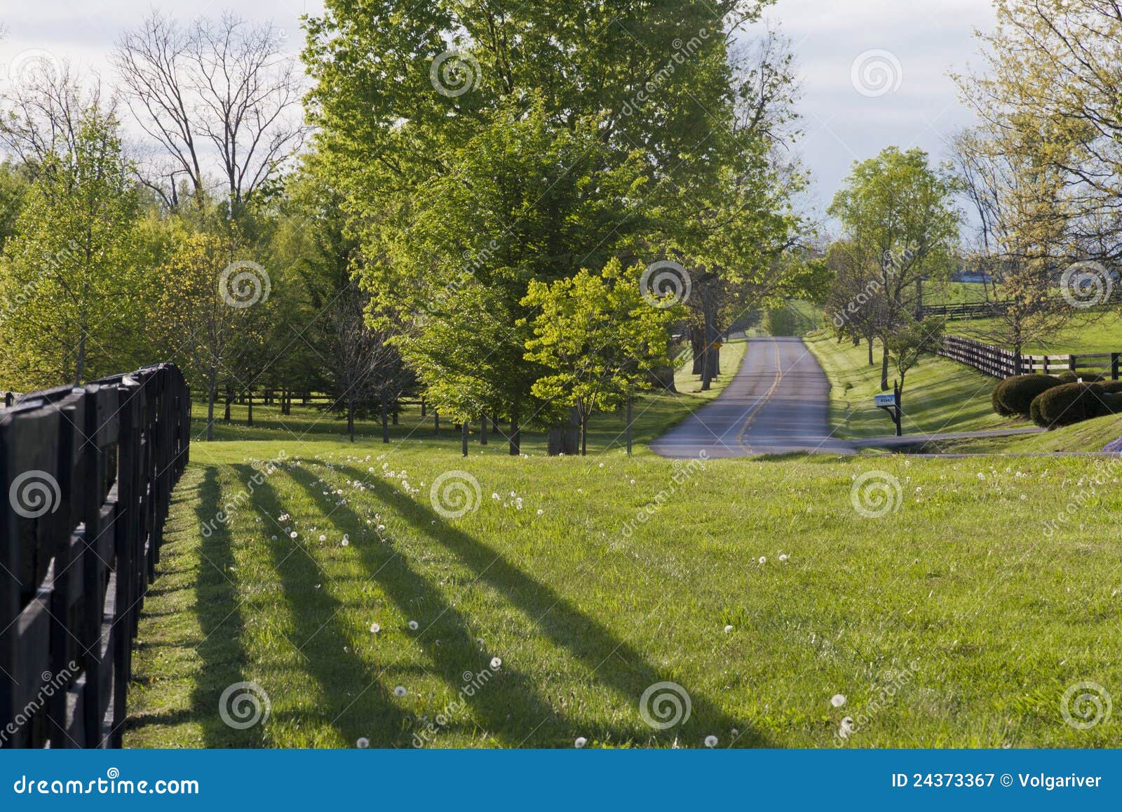 Country Road in Kentucky at Spring Stock Image - Image of wood, grazing ...