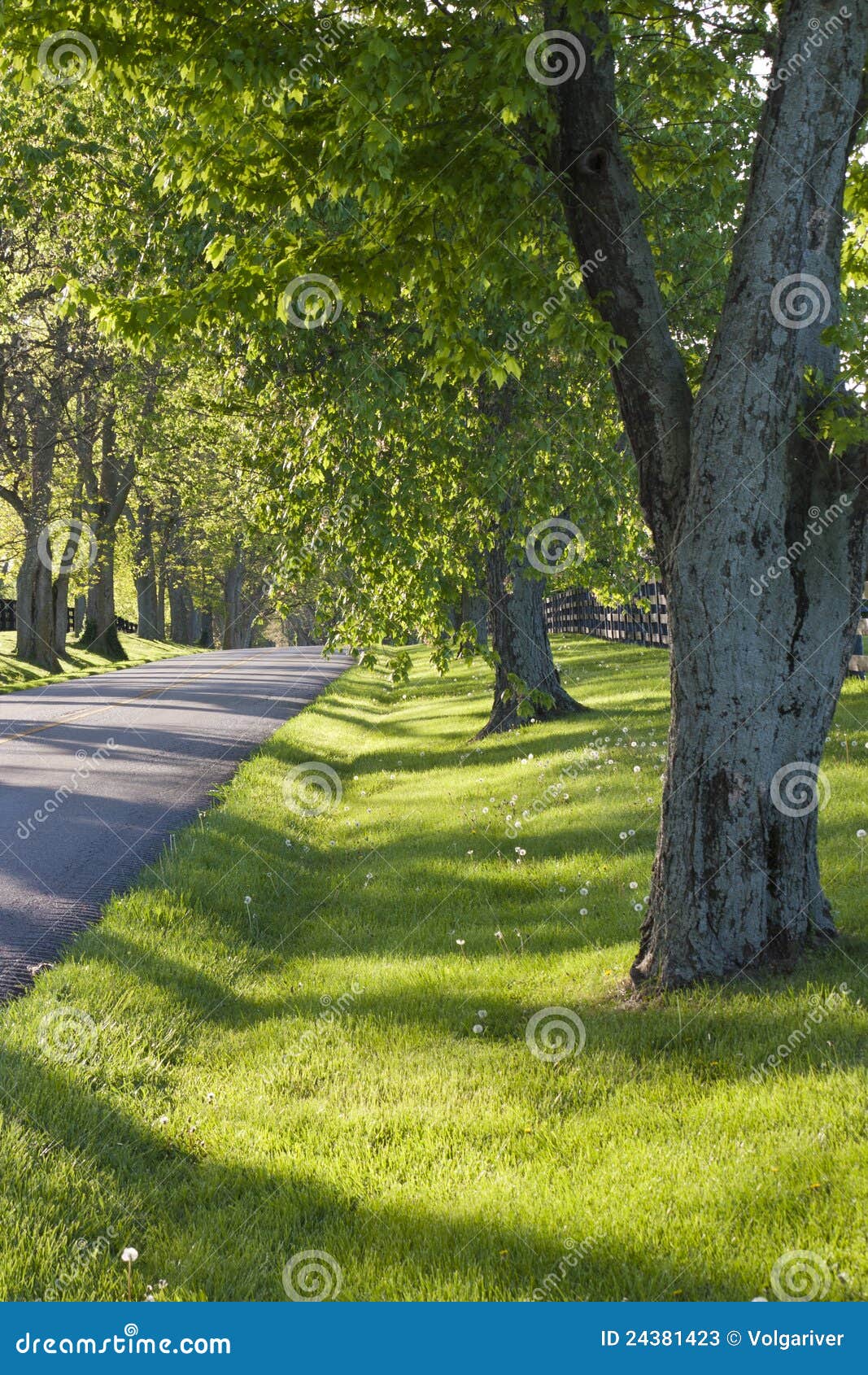 Country Road in Kentucky at Spring Stock Image - Image of land, lawn ...