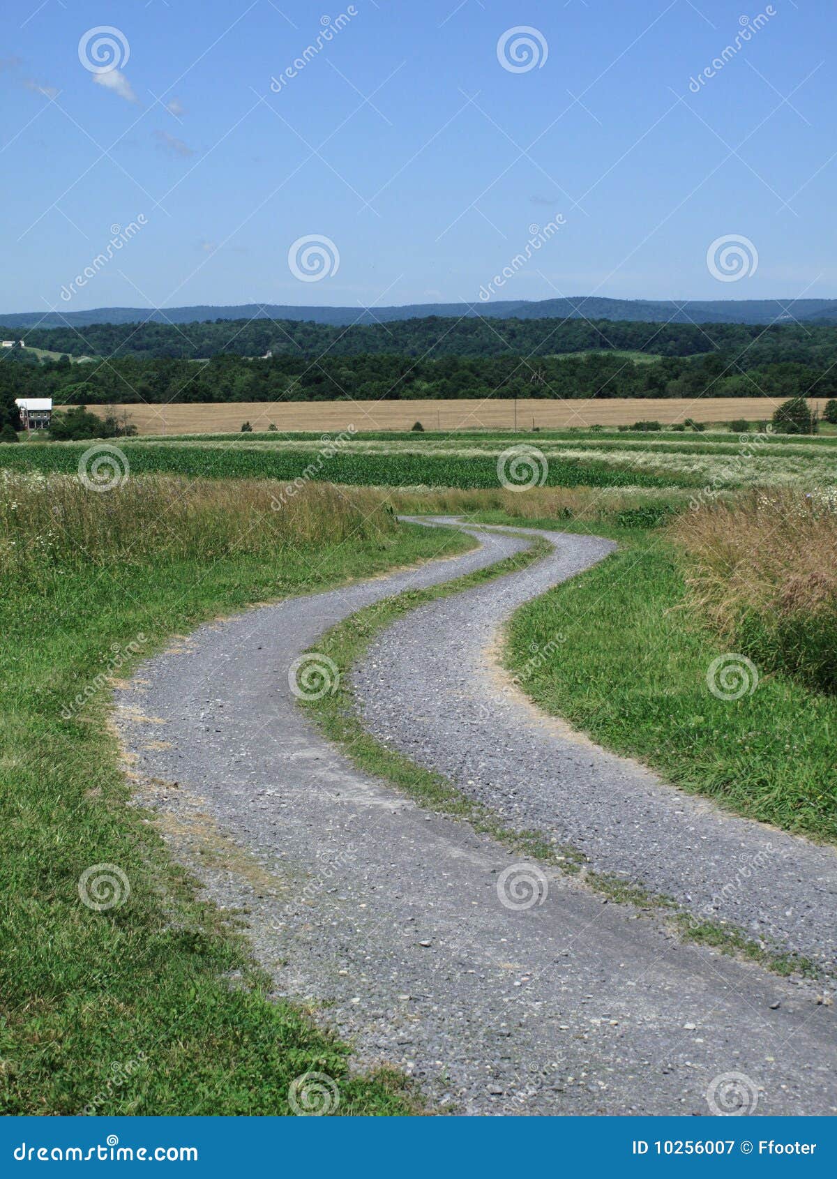 Country Road and Landscape stock image. Image of trees - 10256007