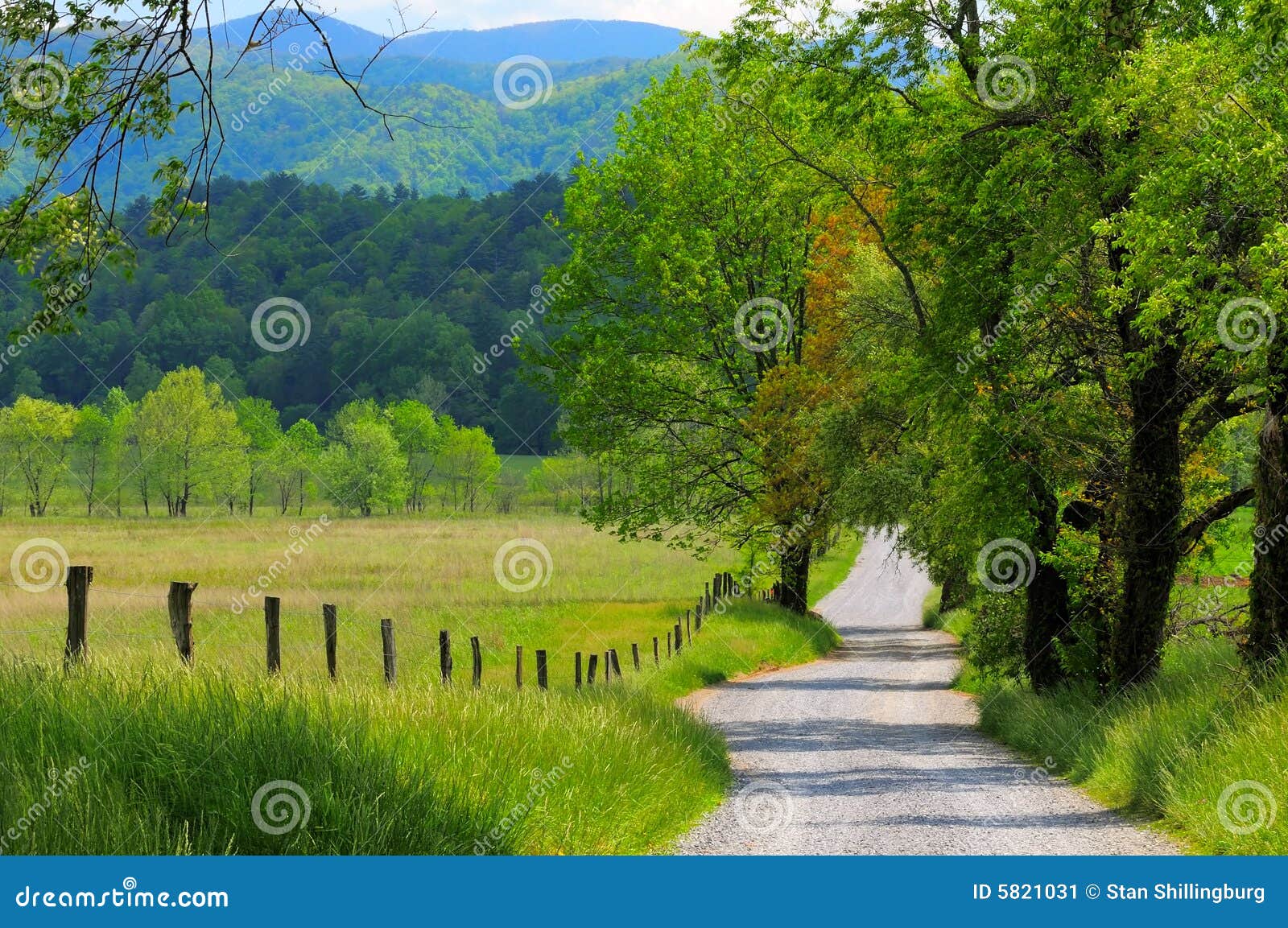 Country road landscape stock image. Image of peaceful - 5821031