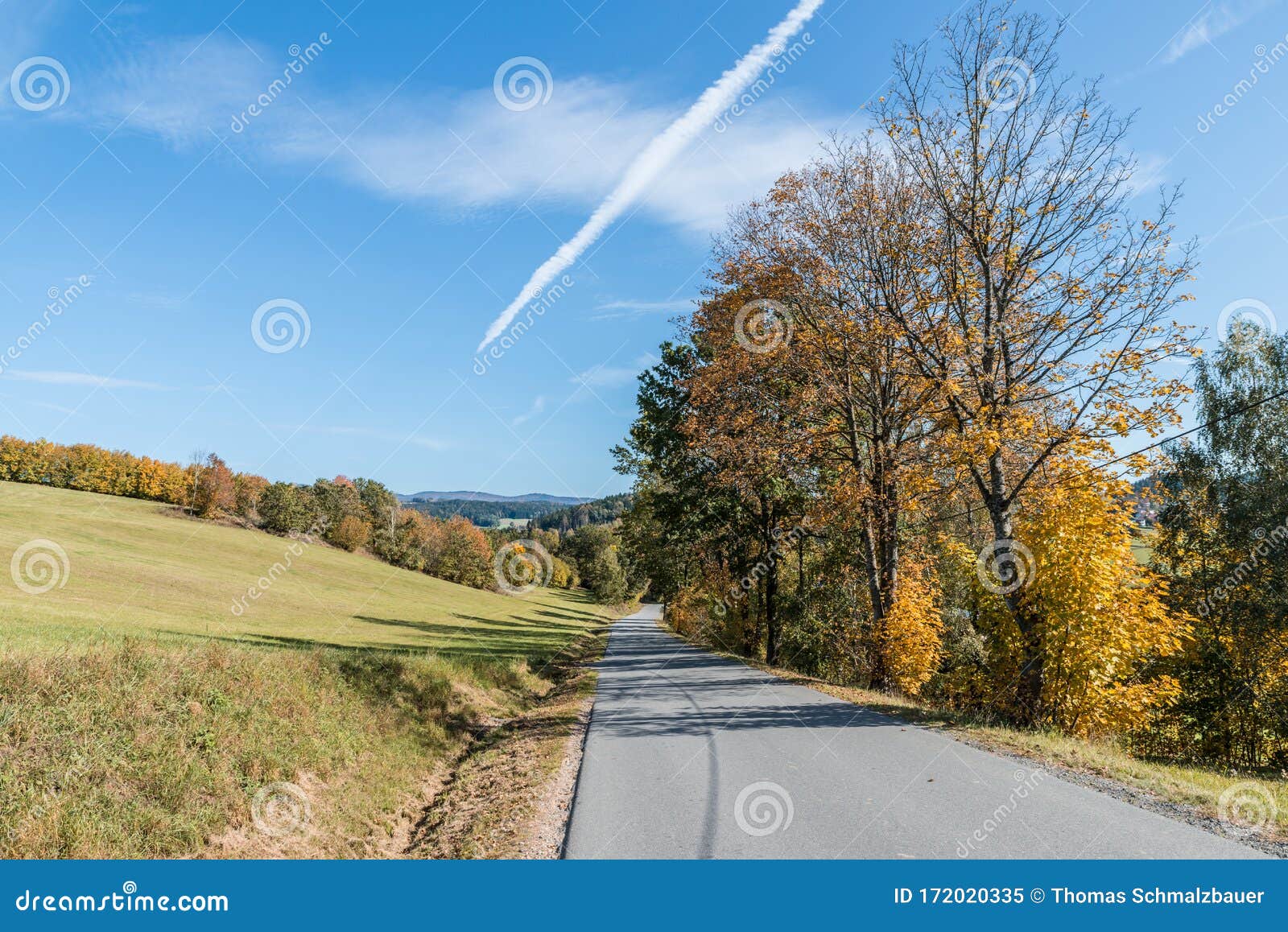 Country Road and Landscape in the Bavarian Forest, Germany Stock Image ...