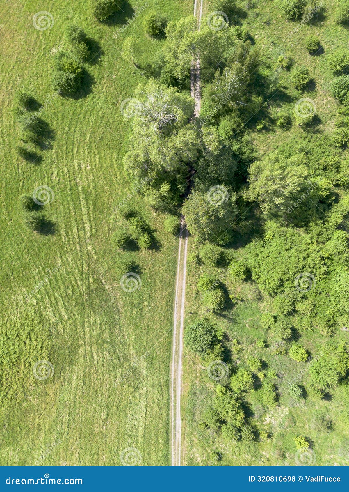 Country Road Leading through a Meadow, View from the Top Stock Photo ...