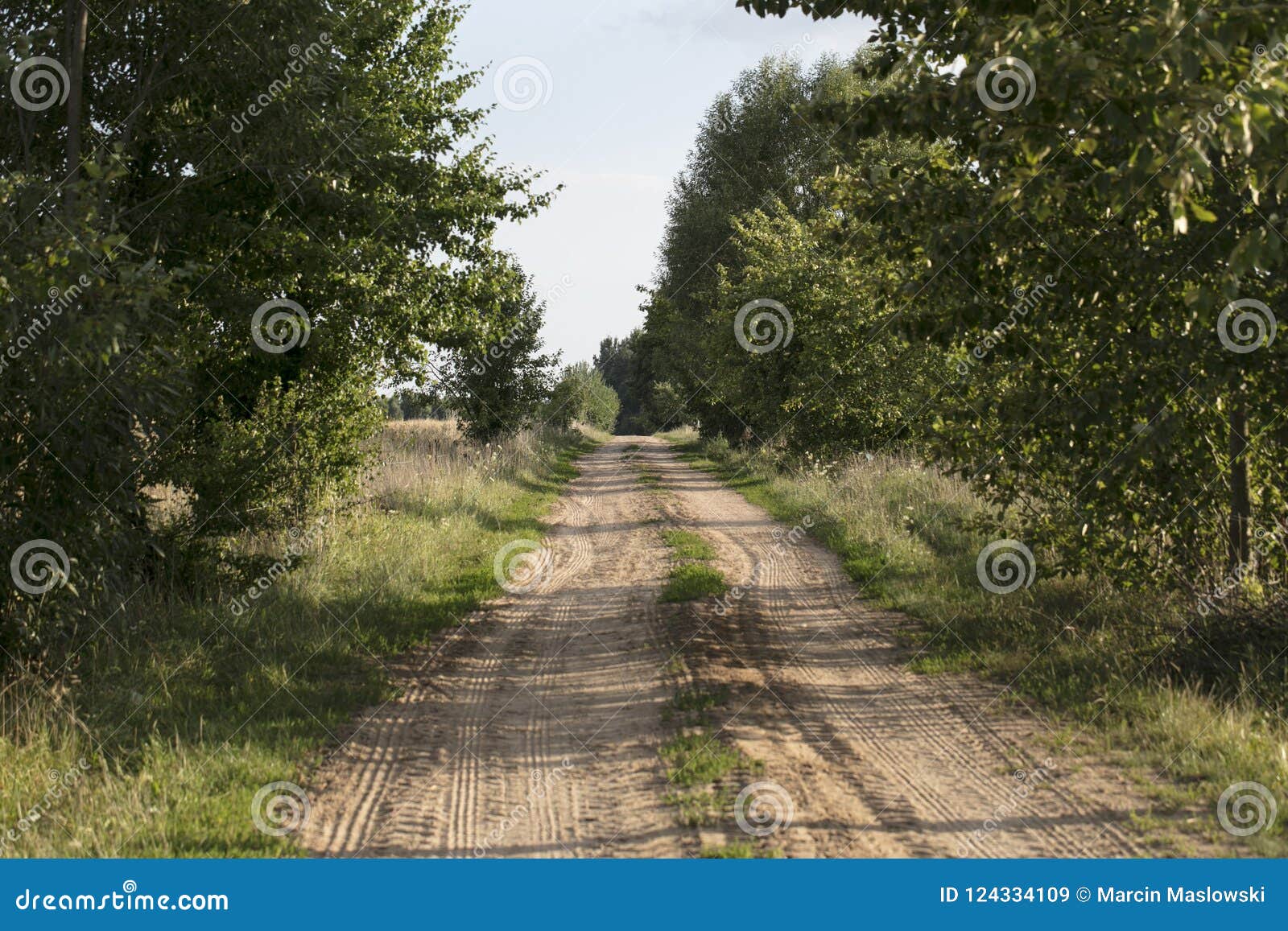 Country Road Leading To the Field Stock Image - Image of meadow, sand ...
