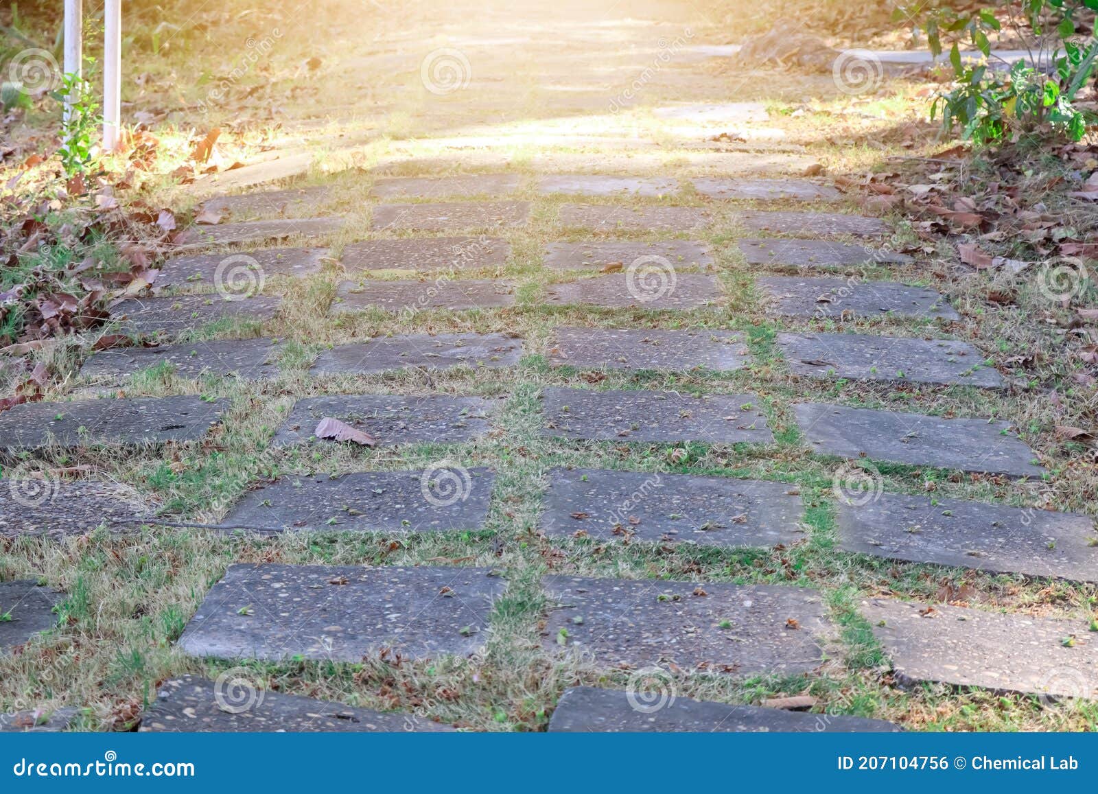 Country road and light stock photo. Image of road, beautiful - 207104756