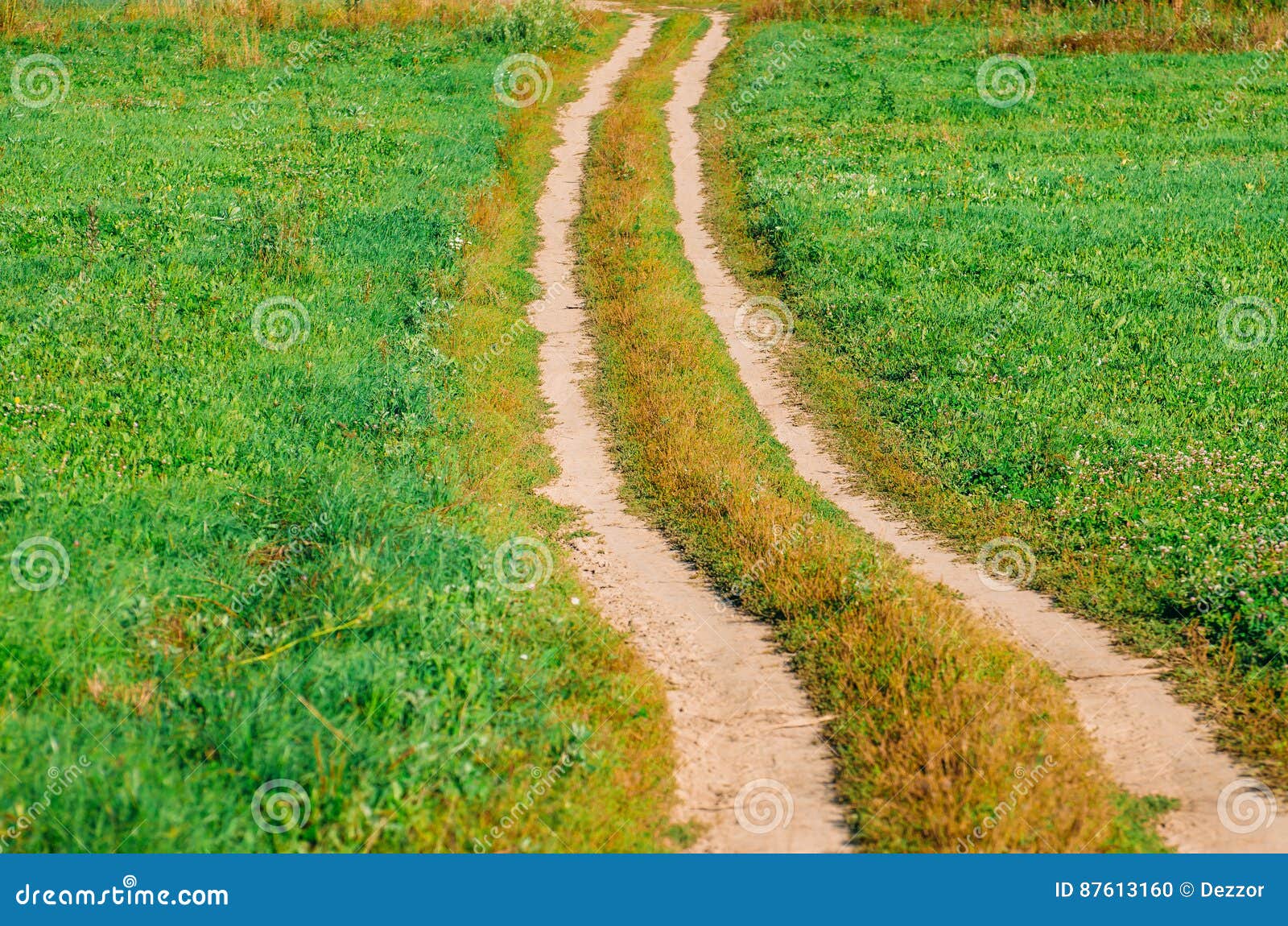 Country Road in the Meadow Grass Path Summer Stock Photo - Image of ...