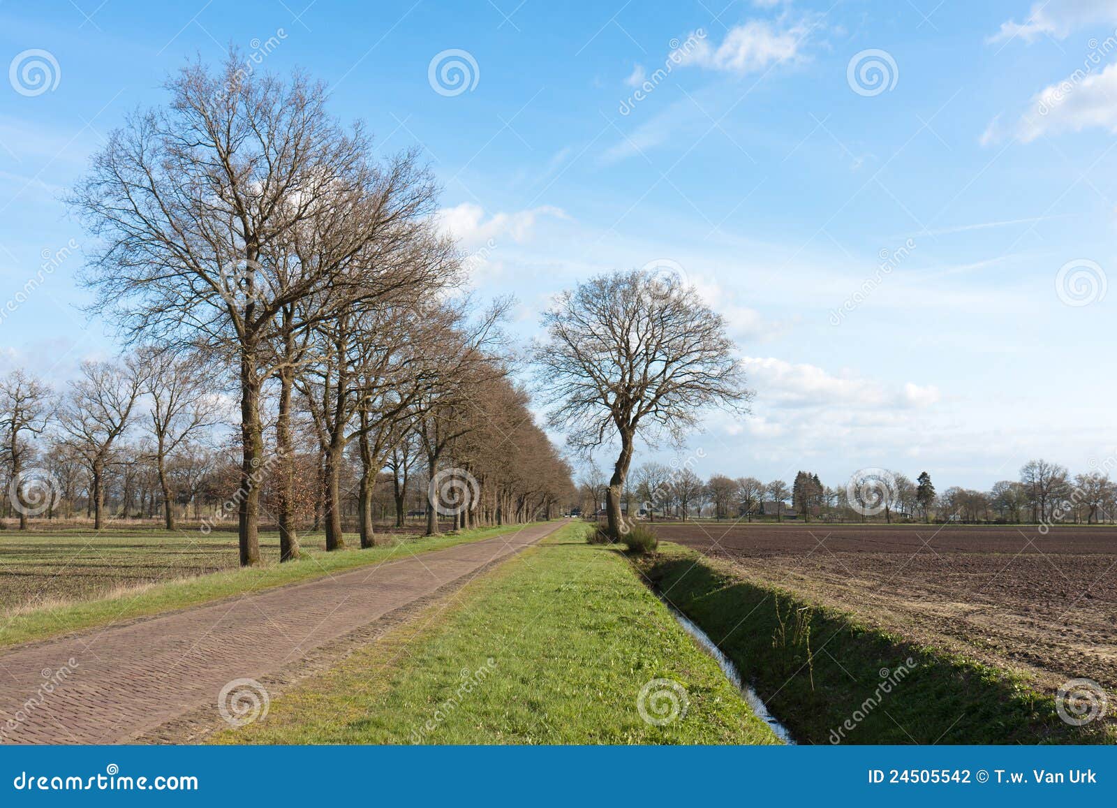 Country Road in the Netherlands with Farmland Stock Photo - Image of ...