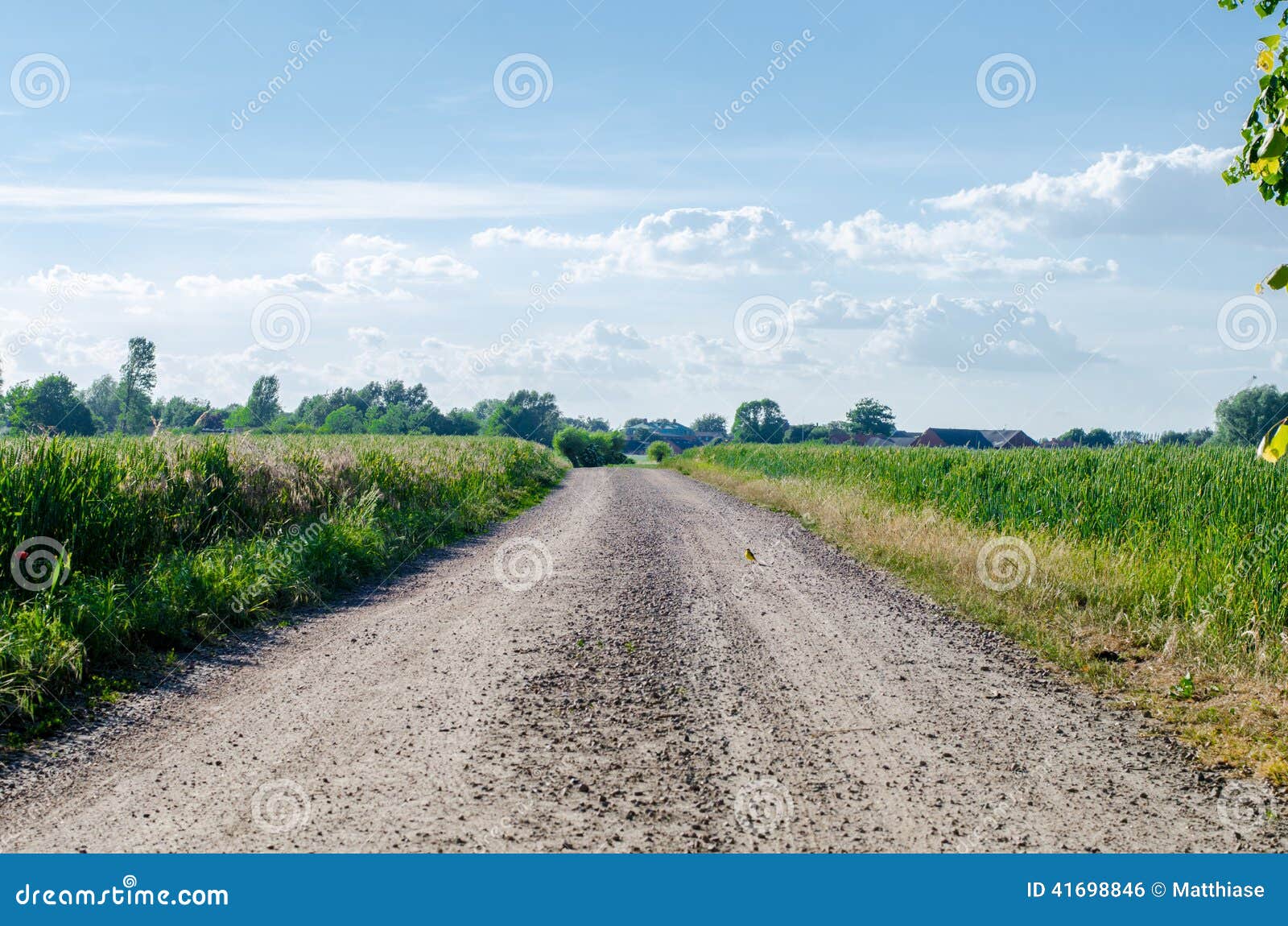 Country road stock photo. Image of scenery, grass, country - 41698846