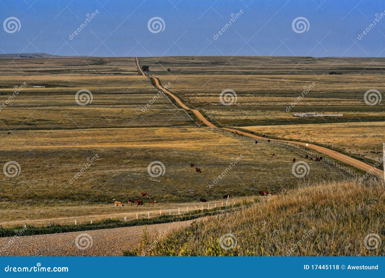 Country Road Over the Prairie Stock Photo - Image of landscape, arid ...