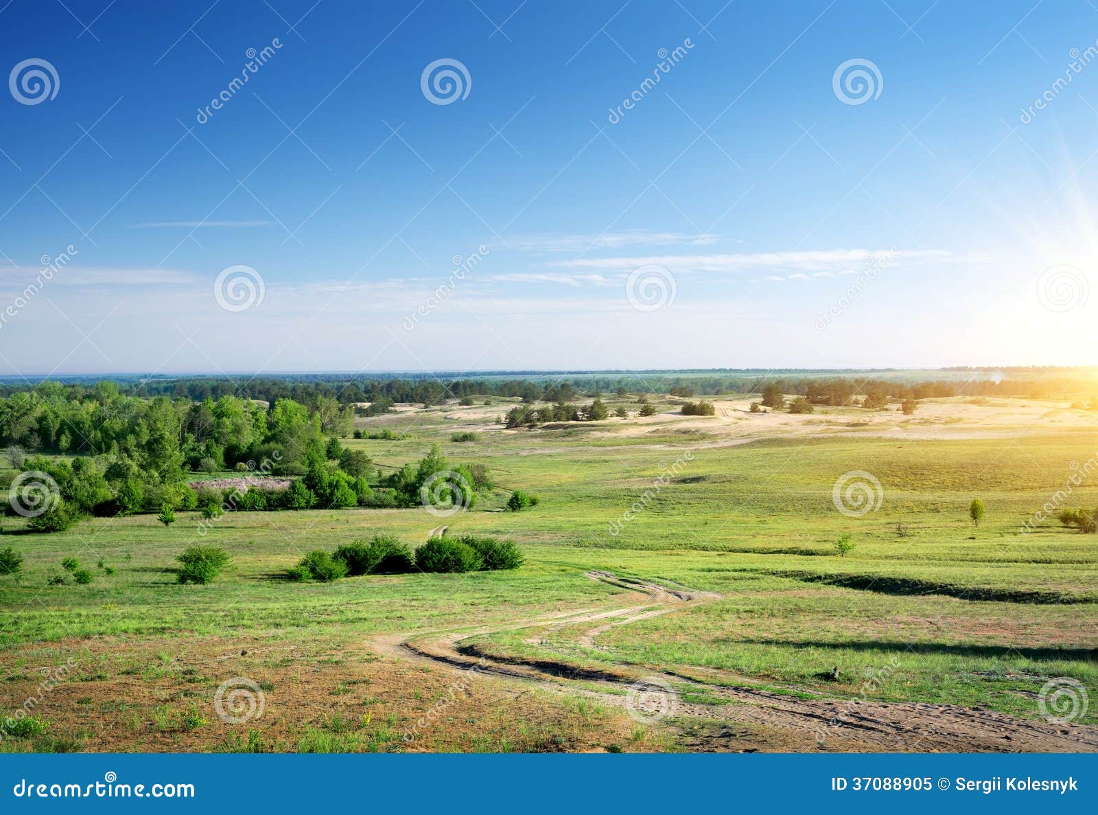 Country Road through the Plain Stock Image - Image of rural, scene ...