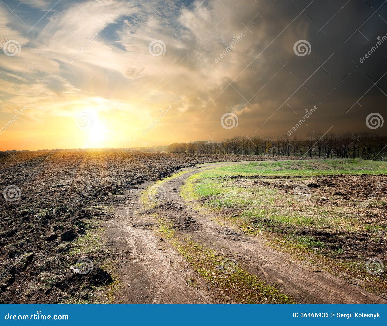 Country Road and Plowed Land Stock Photo - Image of landscape, garden ...