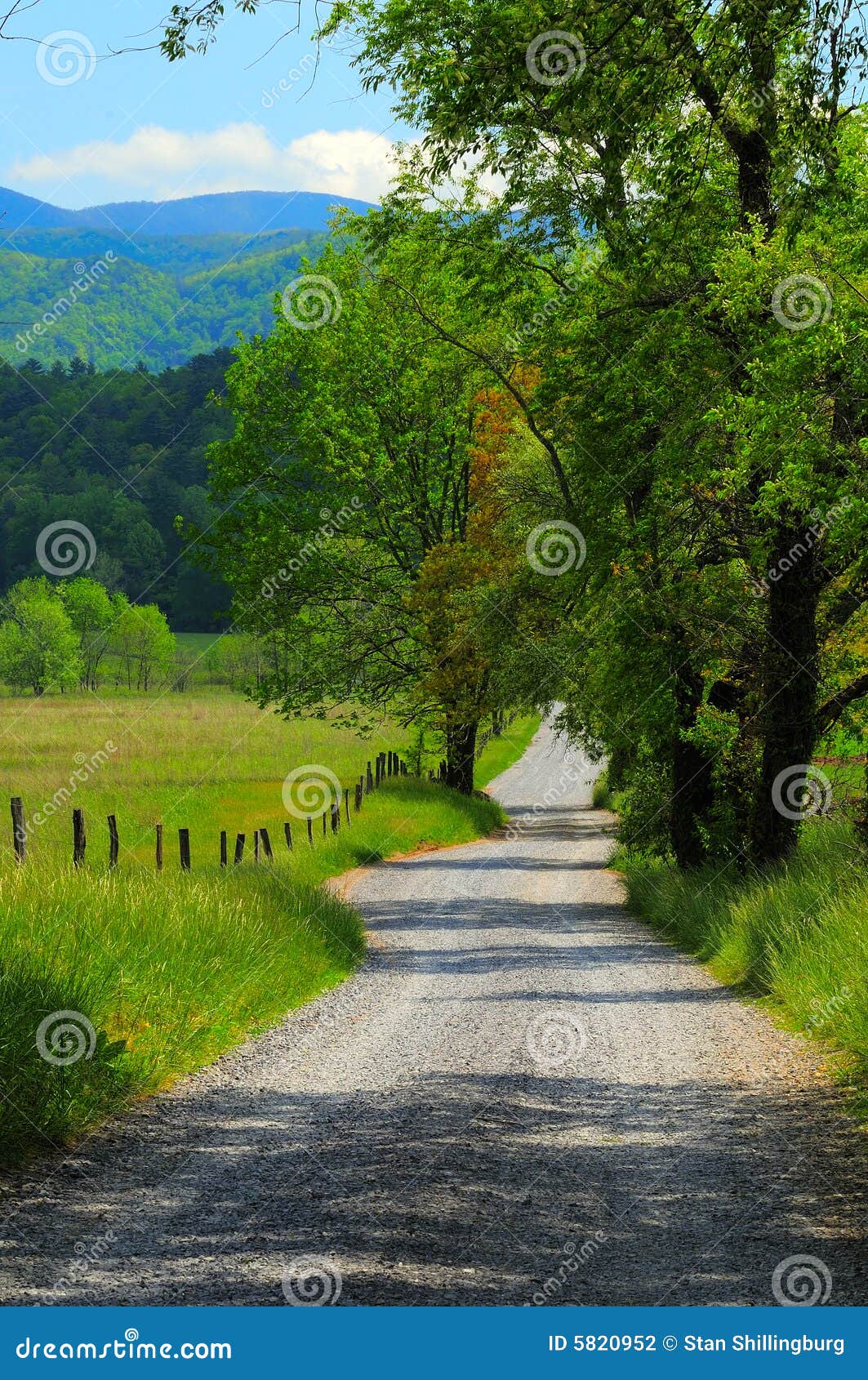Country road portrait stock photo. Image of cove, clouds - 5820952
