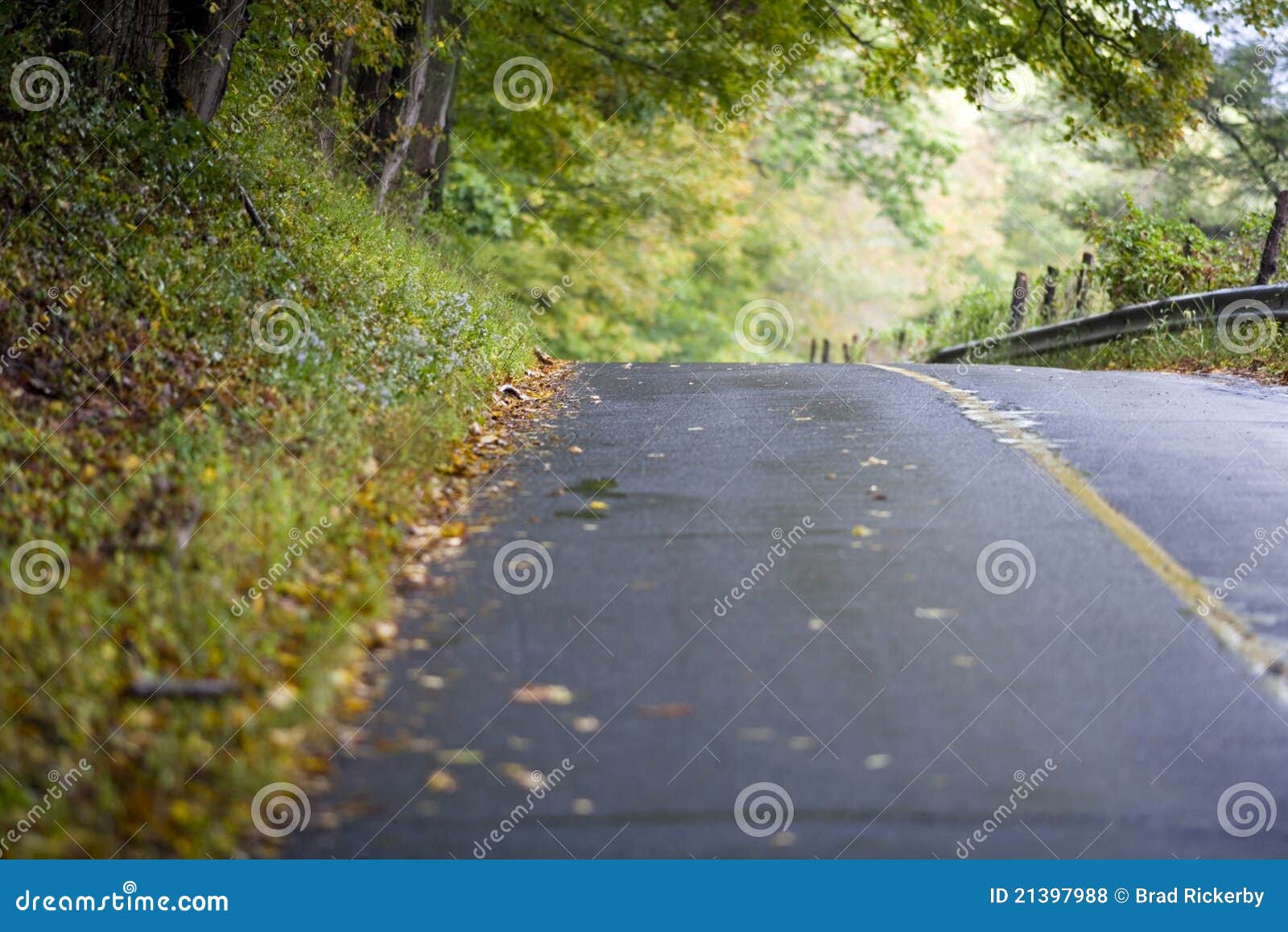 Country Road Rainy Day stock photo. Image of nature, environment - 21397988