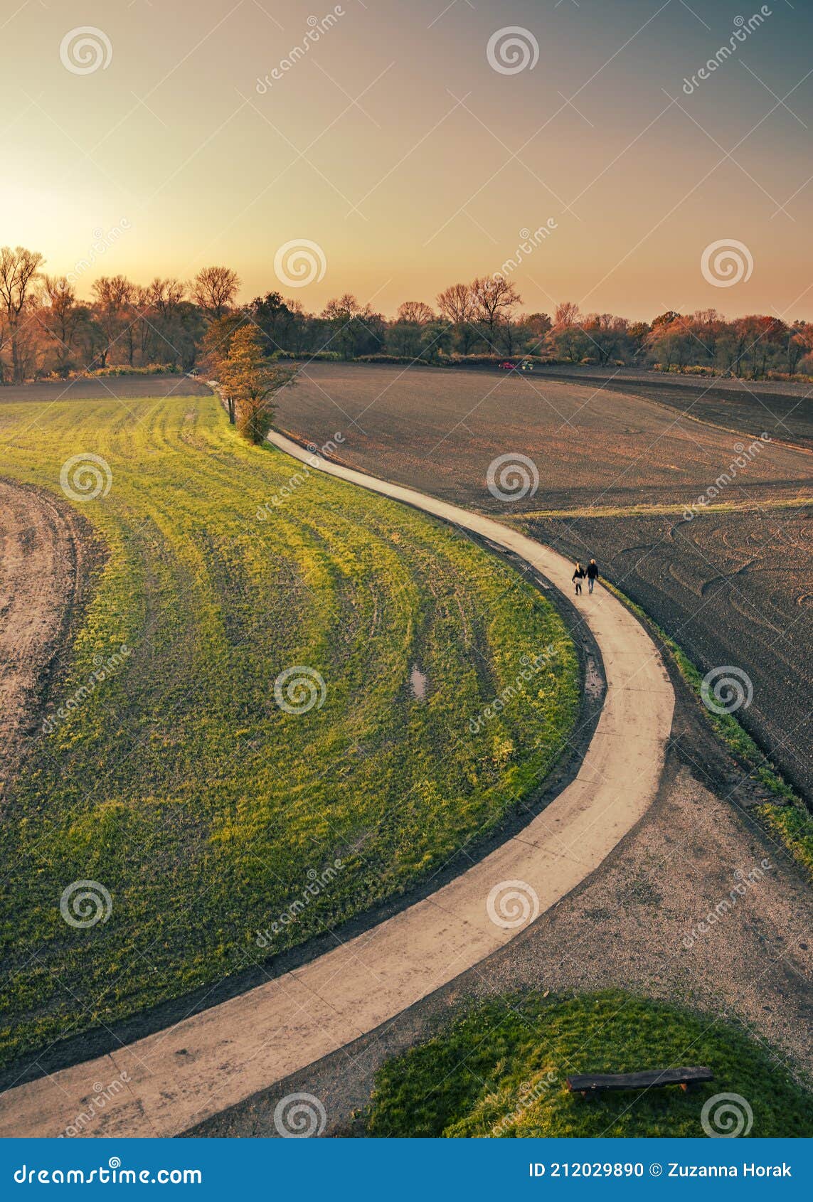 Country Road Running through Fields Stock Photo - Image of walk, field ...