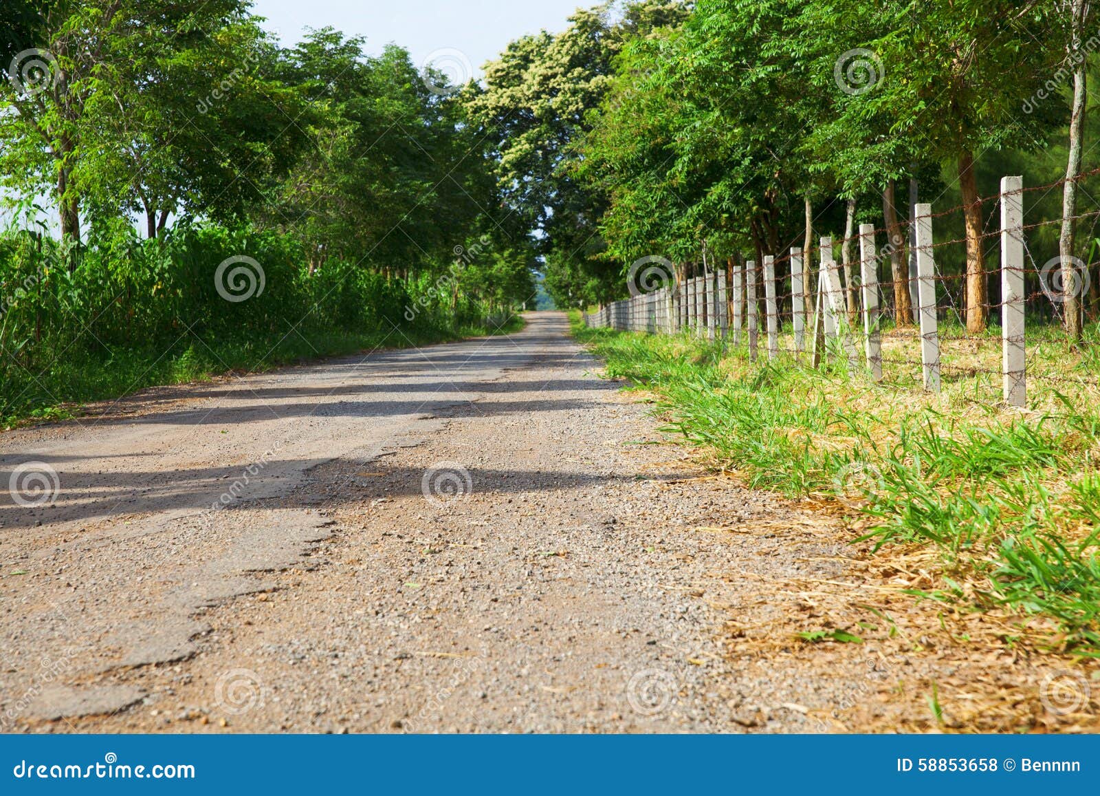 Country road stock photo. Image of season, shine, running - 58853658