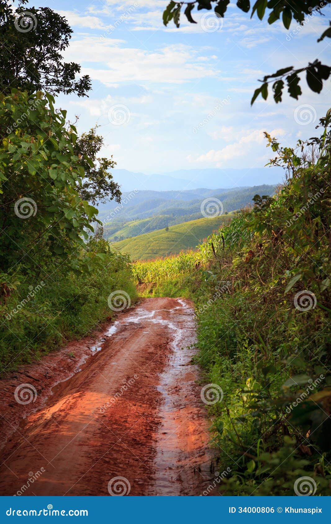 Country Road on Rural Scene Stock Photo - Image of cloudy, lush: 34000806