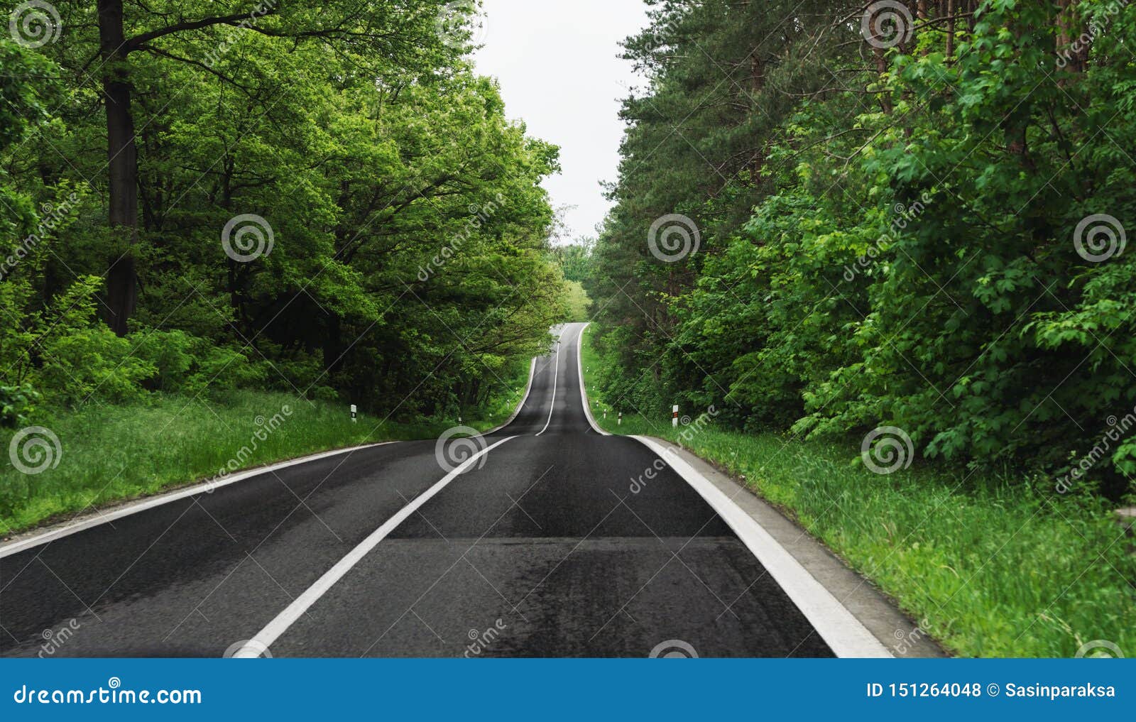Country Road Side Way Full of Trees in Summer Stock Photo - Image of ...