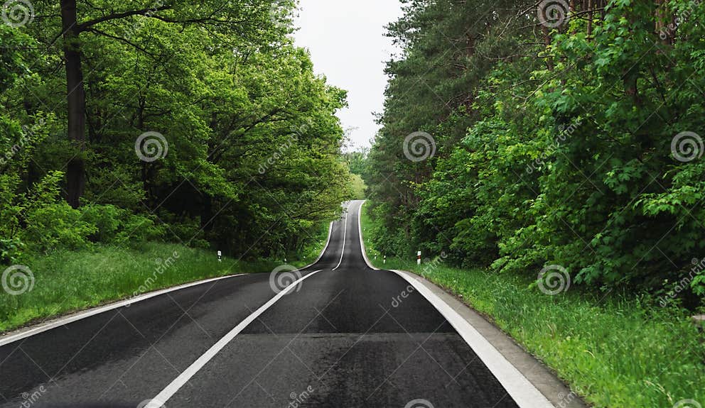Country Road Side Way Full of Trees in Summer Stock Photo - Image of ...