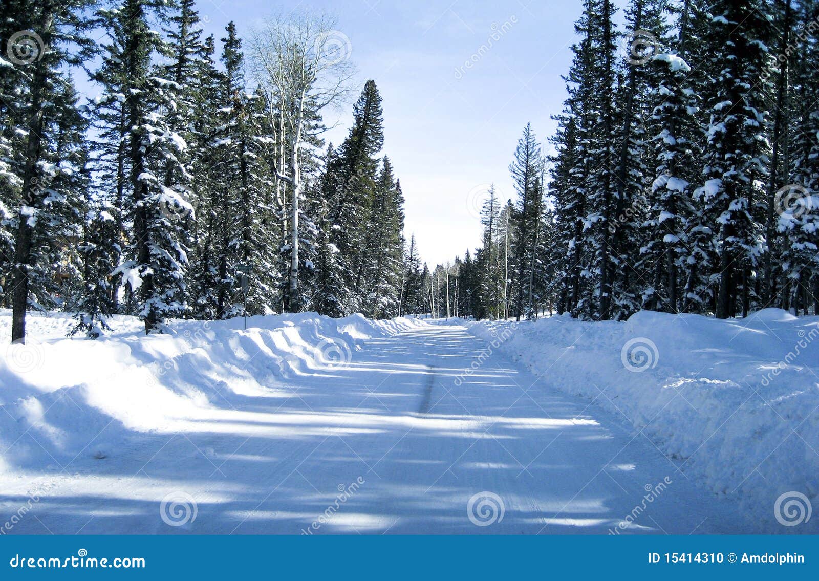 Country road in the snow stock photo. Image of frost - 15414310