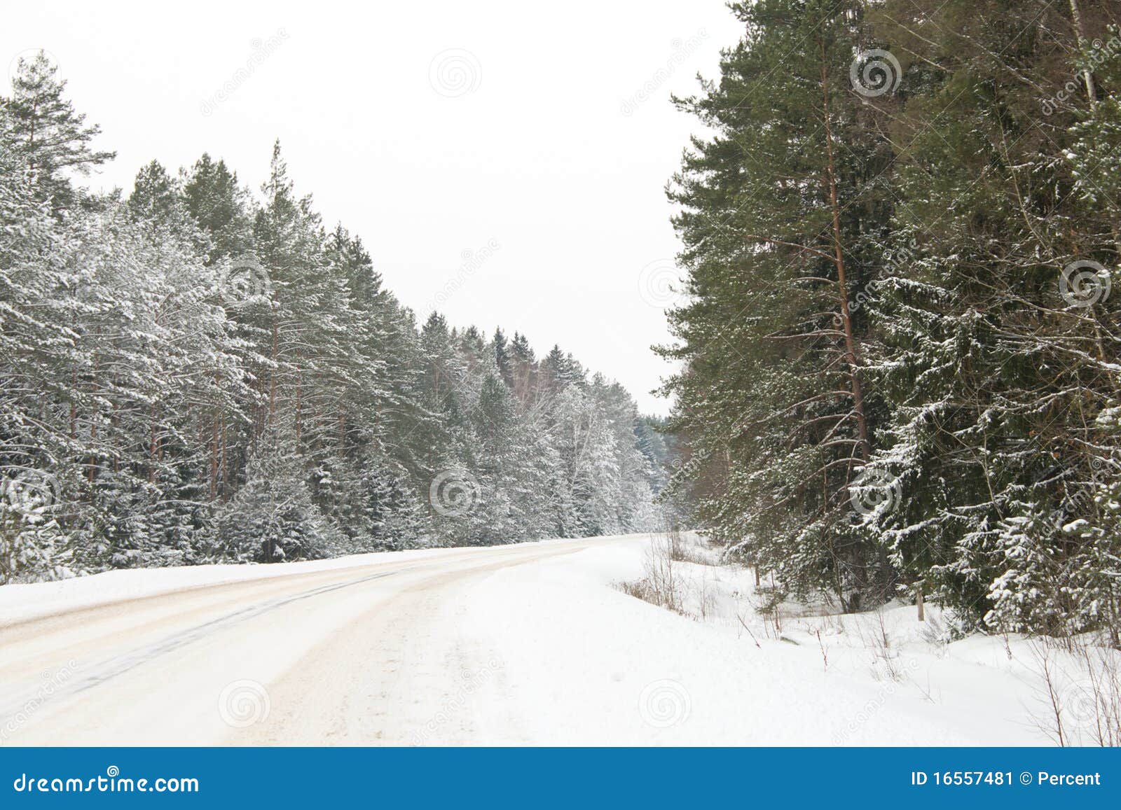 Country road in snow stock image. Image of snow, frozen - 16557481