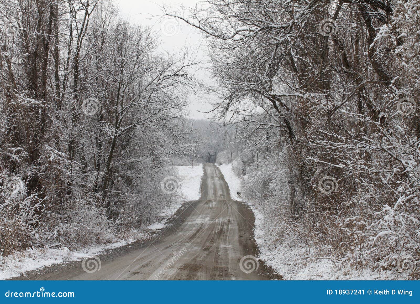 Country Road Snow stock image. Image of hill, trees, dirt - 18937241