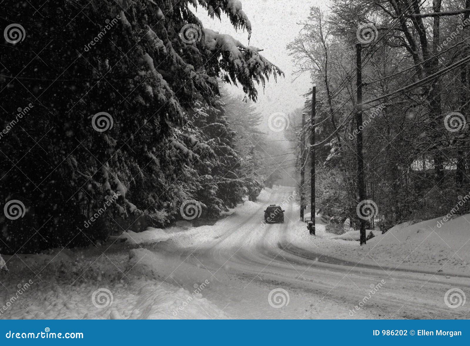 Country Road in Snowstorm stock photo. Image of snowstorm - 986202