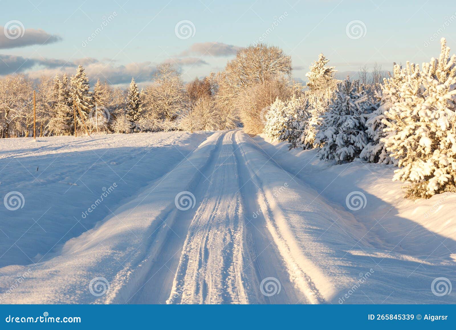 Country Road after a Snowstorm Stock Image - Image of landscape ...