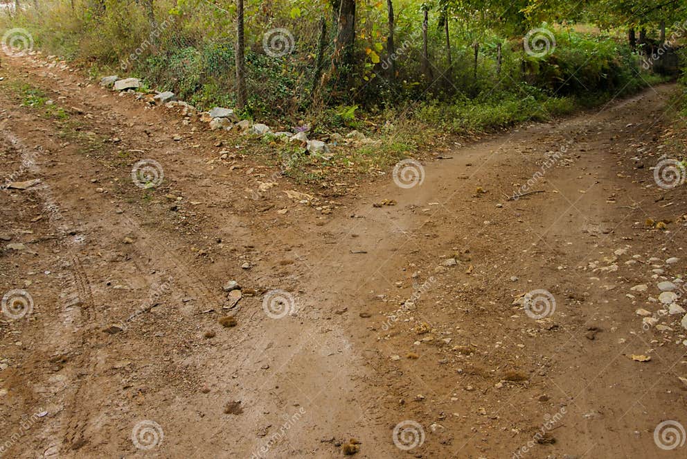 Country road splits in two stock photo. Image of ground - 128432064