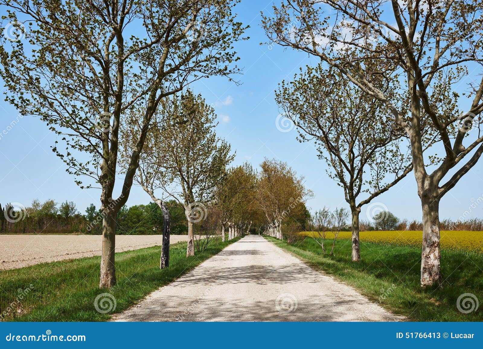 Country road in spring stock image. Image of beauty, landscape - 51766413
