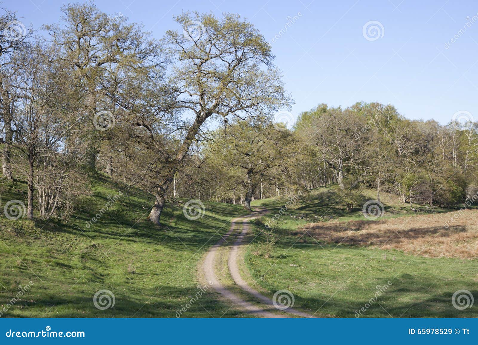 Country Road in a Spring Landscape Stock Image - Image of grassland ...