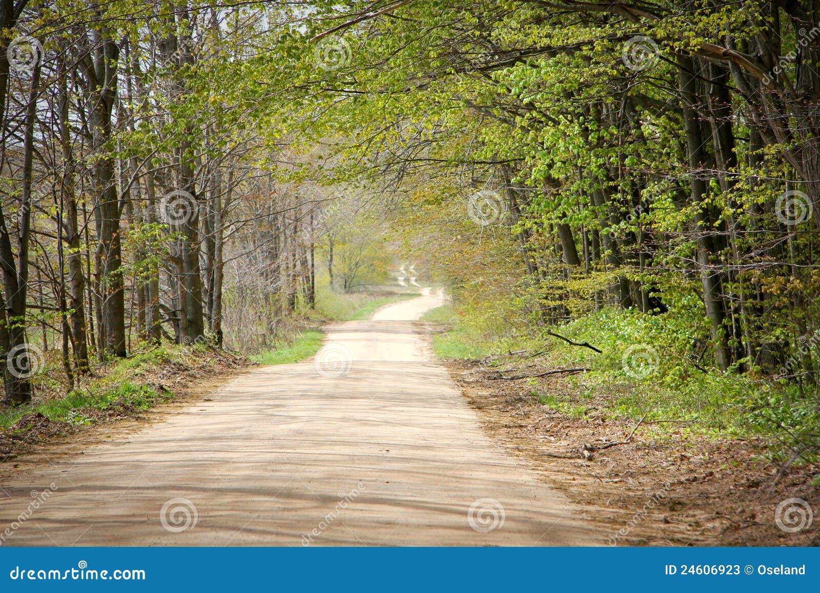 Country Road in Springtime stock image. Image of rural - 24606923