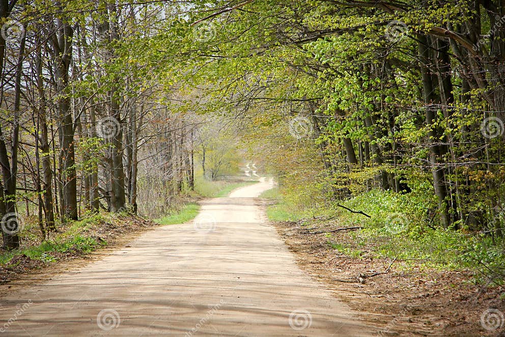 Country Road in Springtime stock image. Image of rural - 24606923