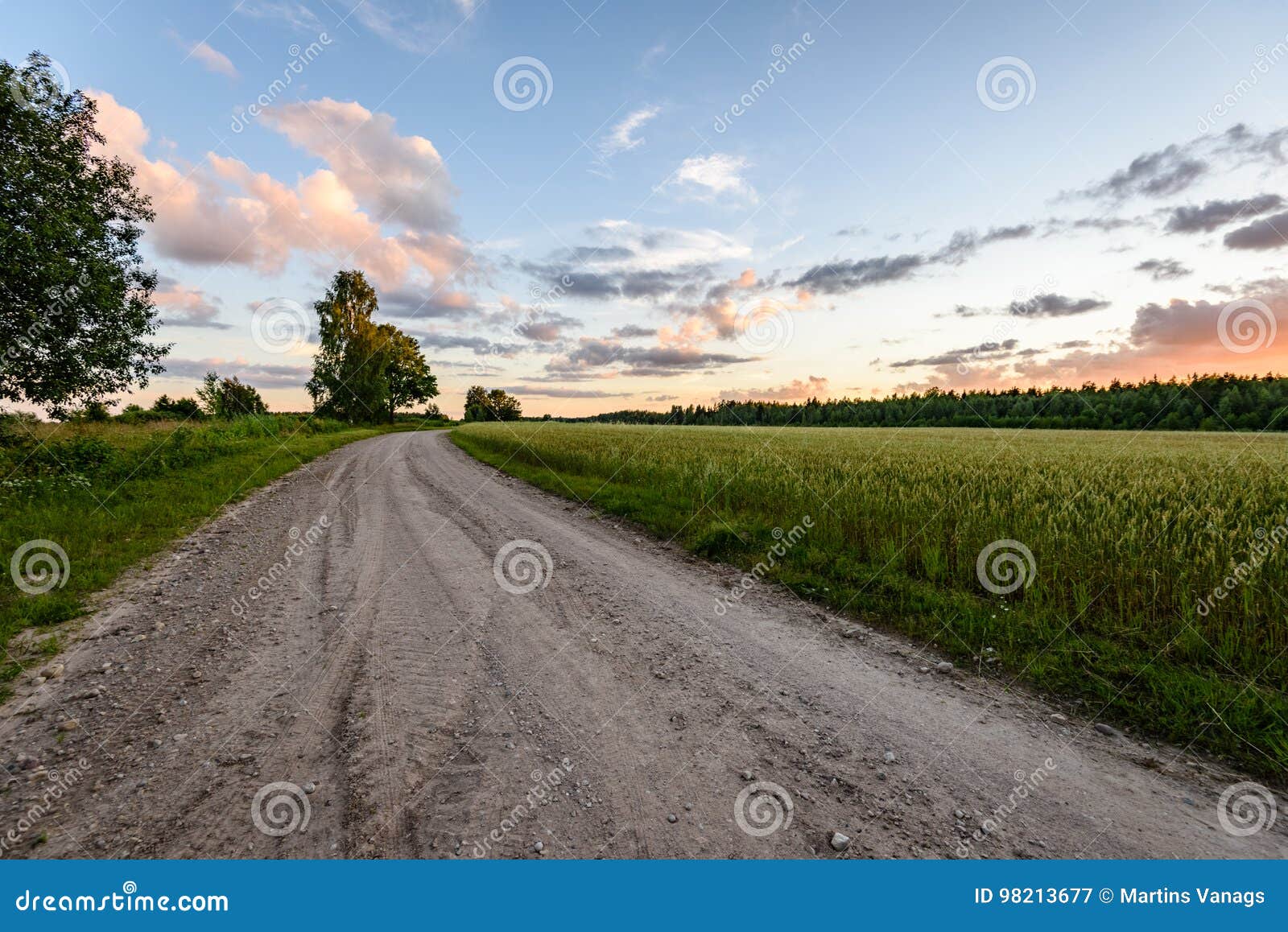 Country Road with Sun Rays in the Morning Stock Image - Image of ...