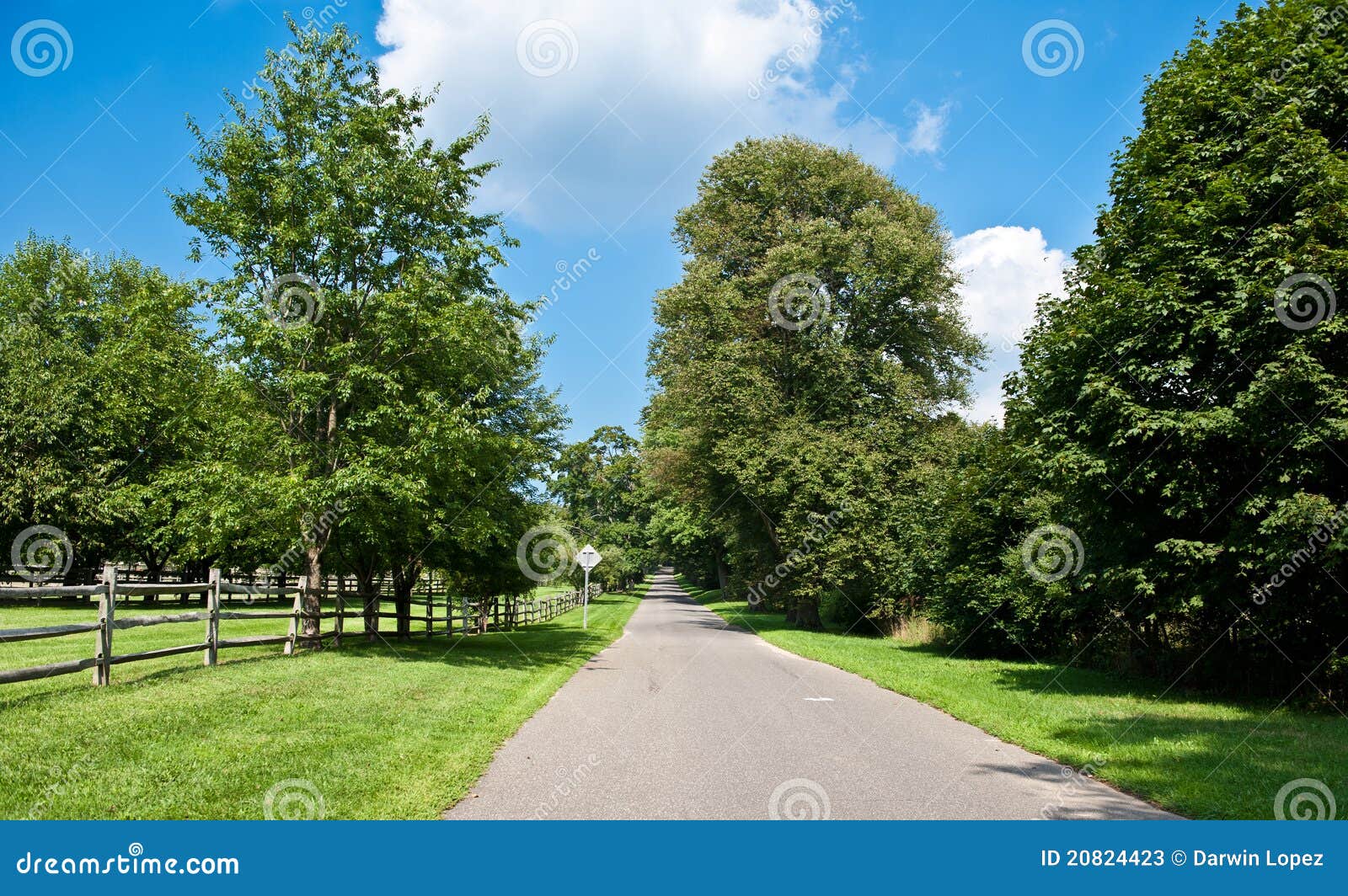 Country Road on a Sunny Day Stock Image - Image of caution, branch ...
