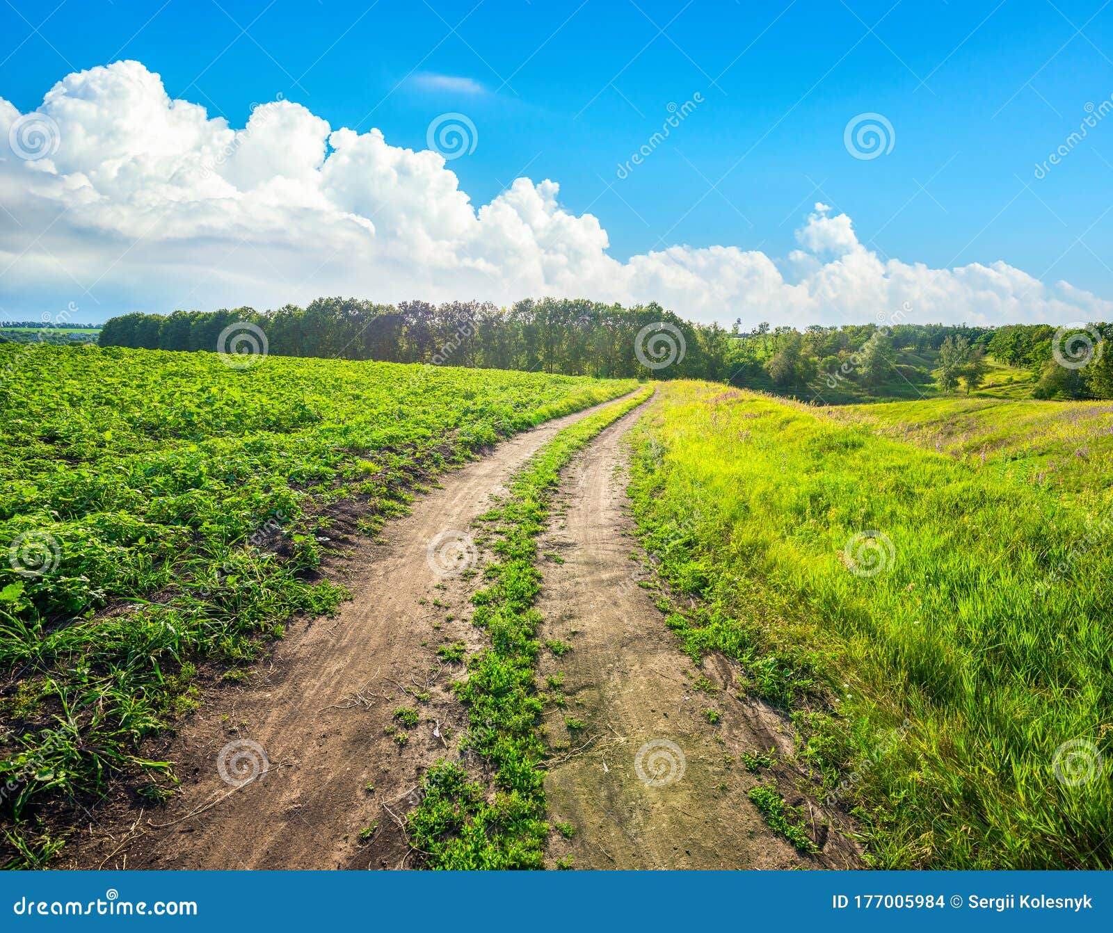 Country road in sunny day stock photo. Image of clouds - 177005984