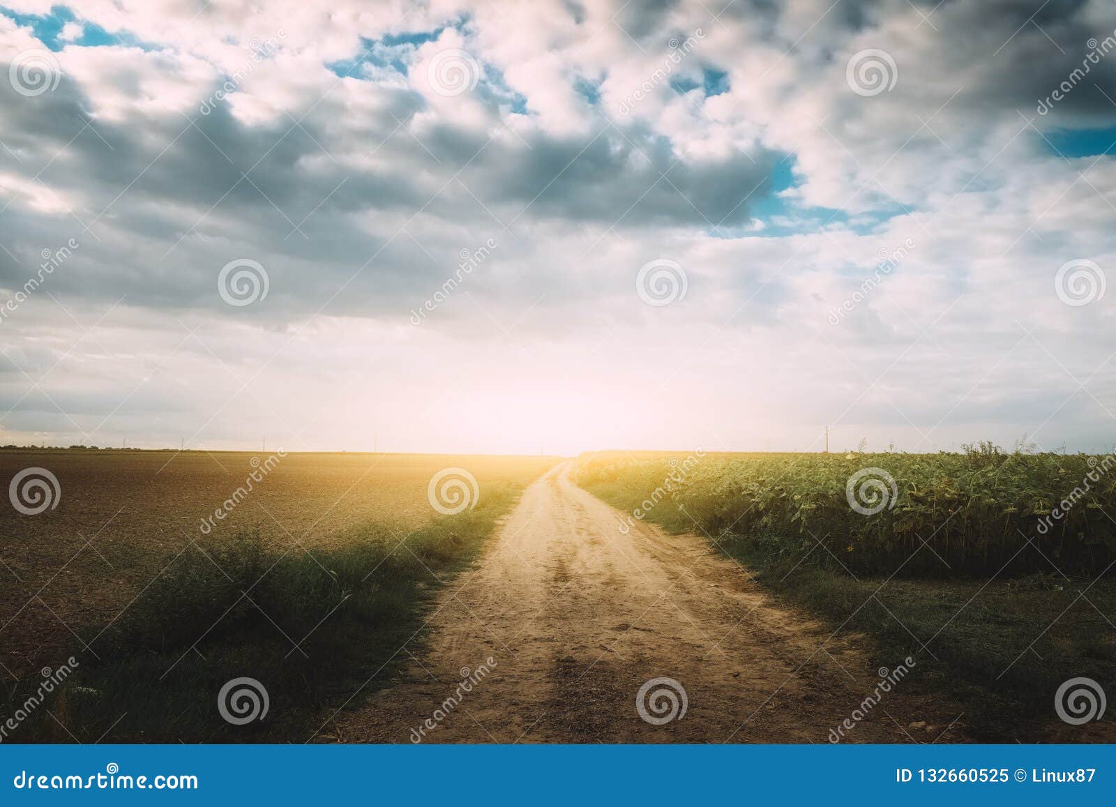 Country road sunrise stock image. Image of country, flare - 132660525