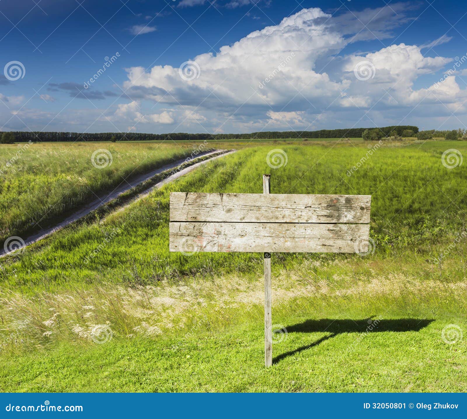 Country Road at Sunset in the Field Stock Image - Image of field, bush ...