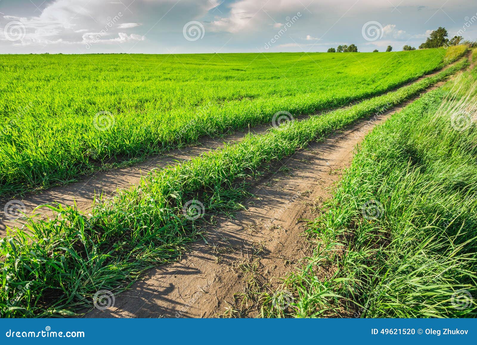 Country Road at Sunset in the Field Stock Photo - Image of outdoor ...