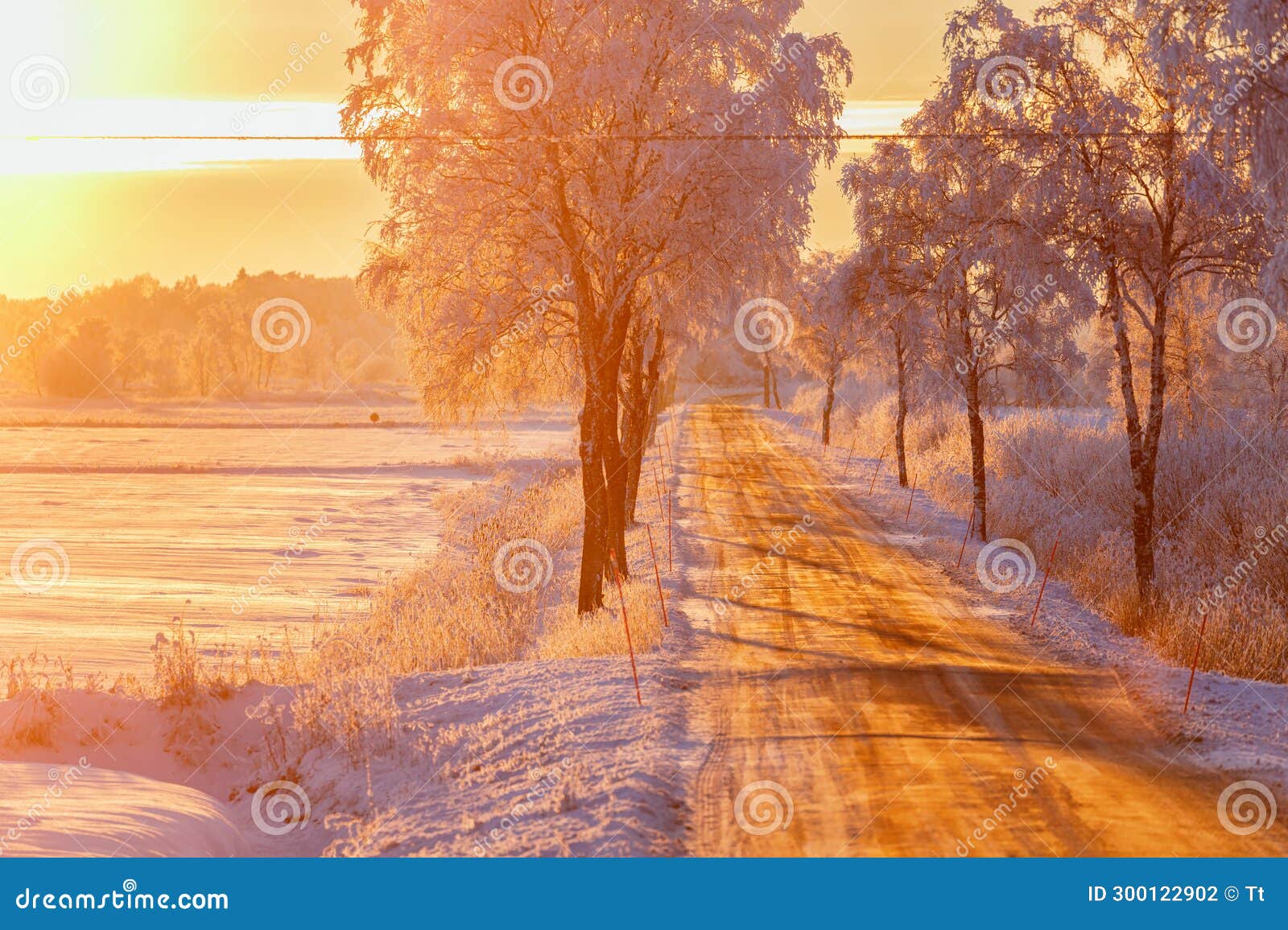 Country Road in Sunset Light in a Winter Landscape Stock Photo - Image ...
