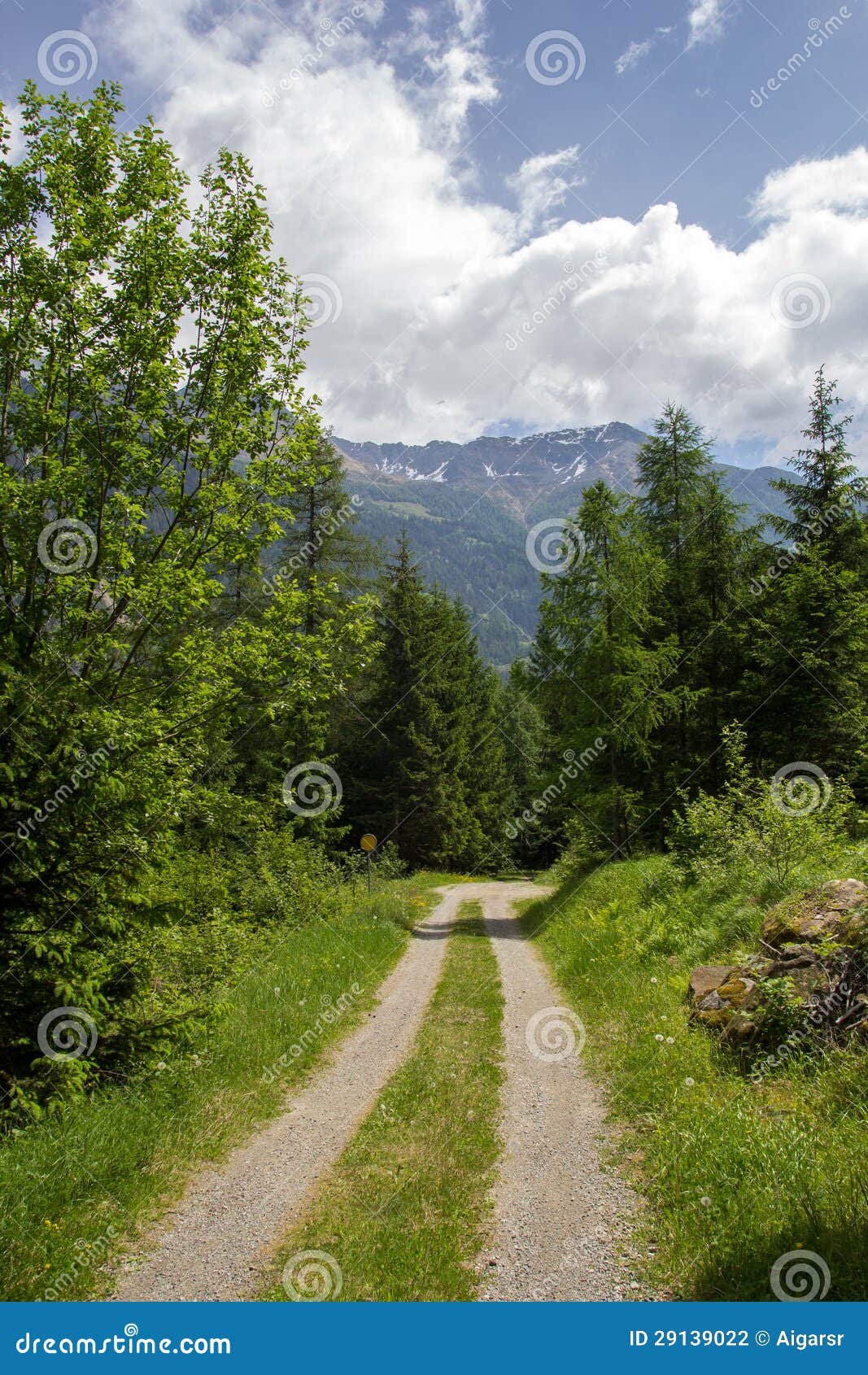 A Country Road in the Swiss Alps Stock Photo - Image of countryside ...