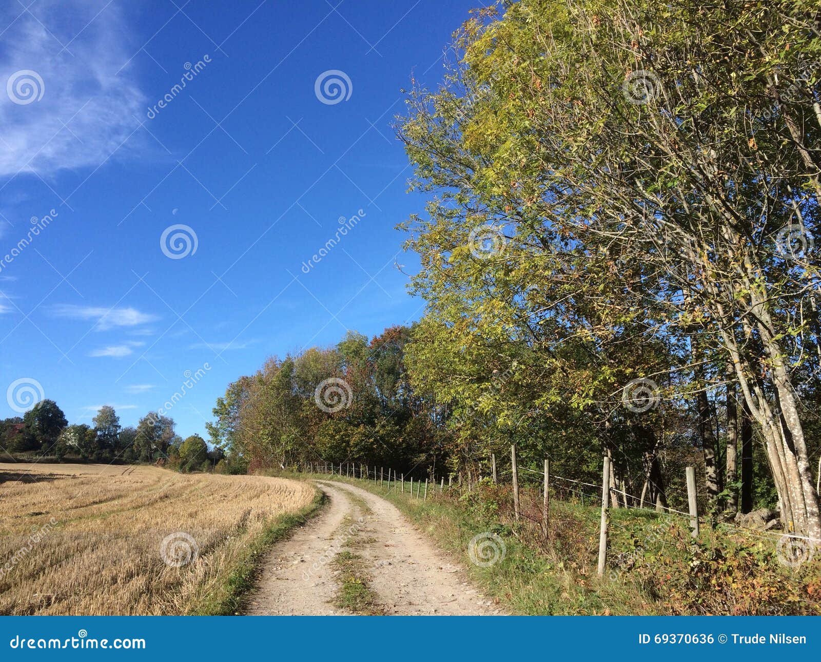 Country road stock photo. Image of fields, croplands - 69370636