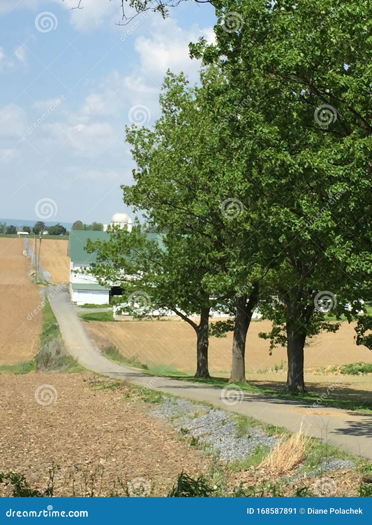 Country Road stock image. Image of trees, barn, country - 168587891